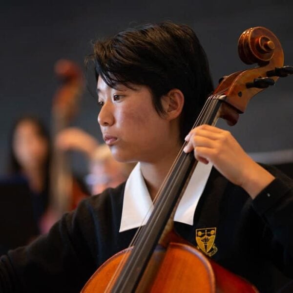 Cello - Small Group Class