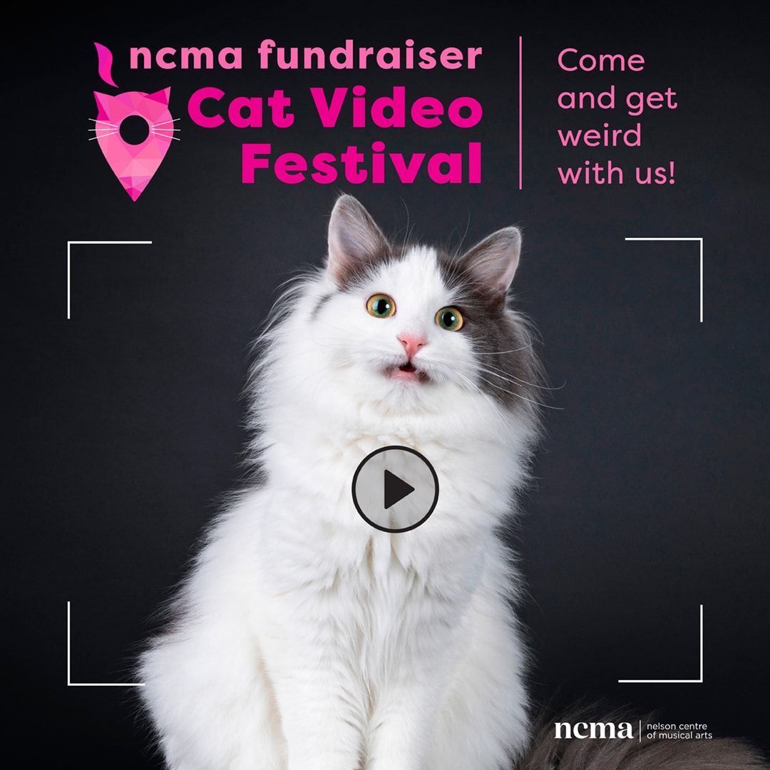 Cat video festival - Nelson Centre of Musical Arts